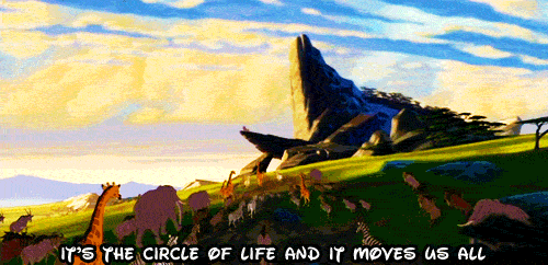Zazu the lion king GIF on GIFER - by Aurizar