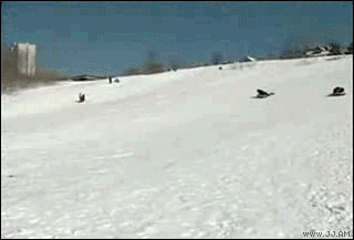 Fail winter reporter fail GIF on GIFER - by Malalas