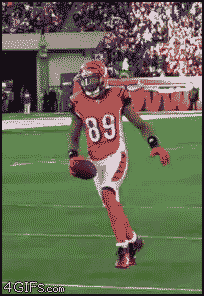 GIF football like a boss win - animated GIF on GIFER - by Wrathhammer