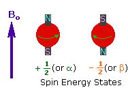 Nuclear Magnetic Resonance Explained – StudiousGuy