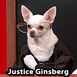 Supreme court and of course ginsberg is the best of all scotus GIF on ...