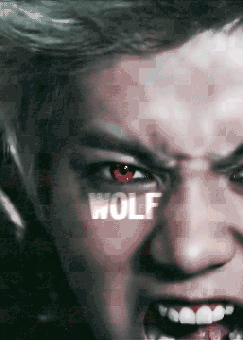 Northern Lights Animated Gif