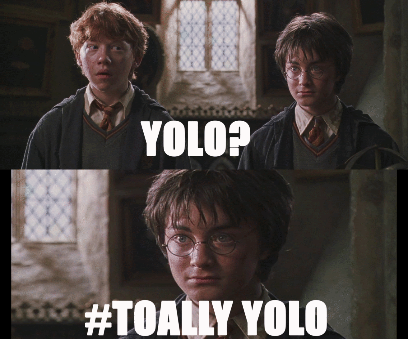 Yolo Tumblr Gif