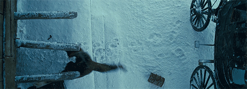 Movie snow dead GIF on GIFER - by Collador