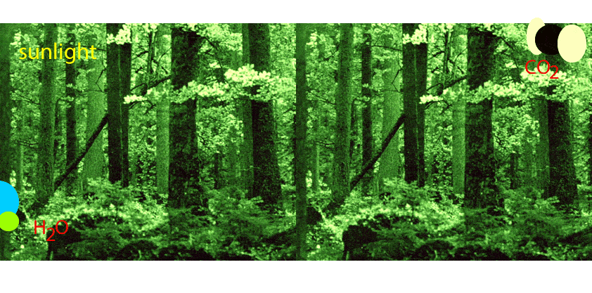 Biology GIF on GIFER - by Morluriel