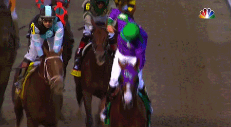 Horse racing sports happy GIF on GIFER - by Burizan