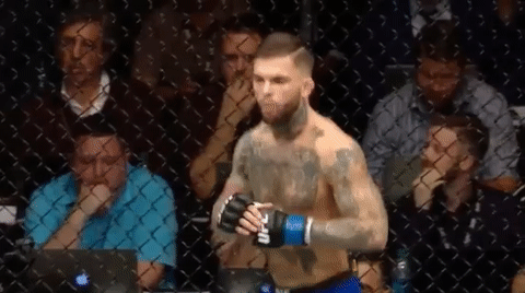 Mma ufc ufc 207 GIF on GIFER - by Dalv