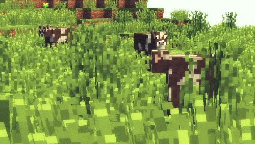 Minecraft Shaders Wallpaper Gif Funny - Infoupdate.org