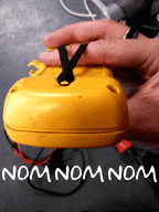Multimeter took hippo GIF on GIFER - by Samutaxe
