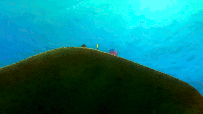 Finding Nemo Drop Off
