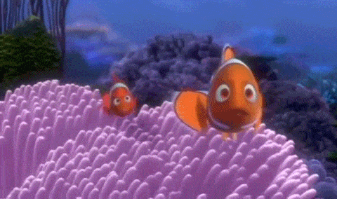 Finding nemo GIF on GIFER - by Kakinos