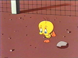 Cartoon Tweety Gif