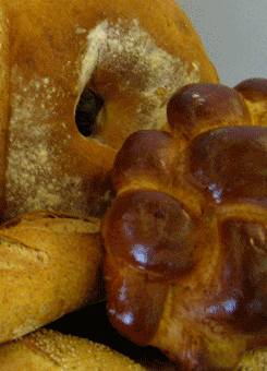Bread GIF on GIFER - by Adodar