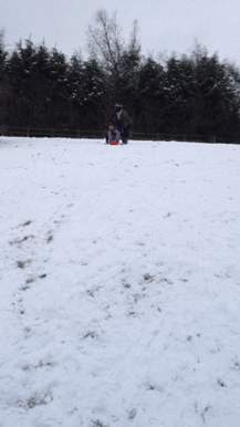 GIF fail snow winter - animated GIF on GIFER - by Kirn