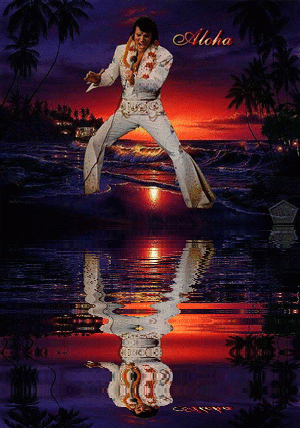 Elvis presley elvis GIF on GIFER - by Magrel