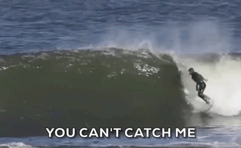 Cant catch me success GIF on GIFER - by Mageeye