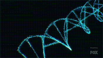 Biology GIF on GIFER - by Nighthammer