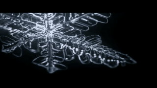 Microscope GIF on GIFER - by Anarasida