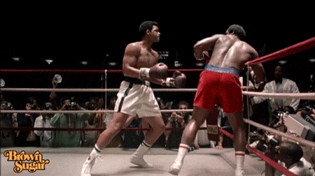 Fight will punch GIF on GIFER - by Cordarne