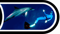 Diving GIF on GIFER - by Taugore