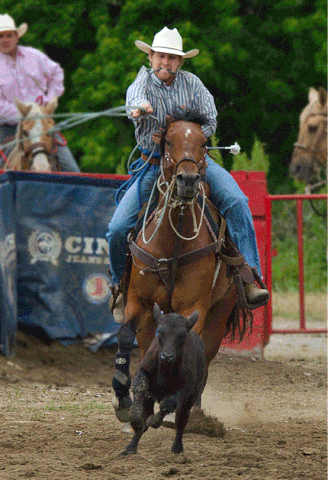 Rodeo GIF on GIFER - by Sasar