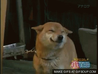 Sloth Gif Hey Girl