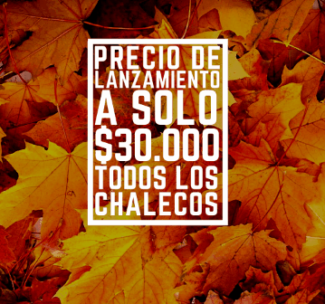 Shrimp dancing GIF on GIFER - by Mugul