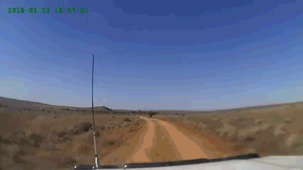 Curieux interesting GIF on GIFER - by Beazellador