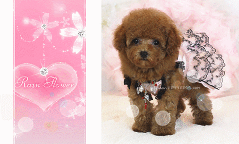 Glaring arms crossed GIF on GIFER - by Kenrad