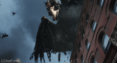 Birdman GIF on GIFER - by Dorirdin
