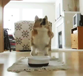 Cafe lunch work GIF on GIFER - by Mageworm