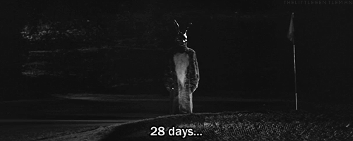 Anchorman Jump Gif YARN | Unique New York. | Anchorman: The Legend Of