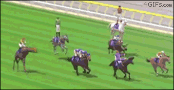 Gif De Courses De Chevaux Federation Belge Des Courses De Galop