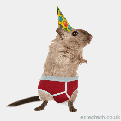 GIF hamster - animated GIF on GIFER - by Lairgas