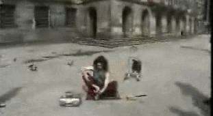 Гифка прости back черепаха гиф картинка, скачать анимированный gif на ...