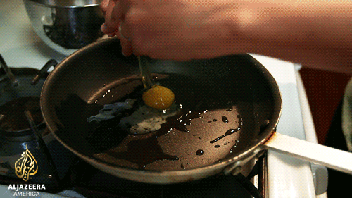 Eggs GIF on GIFER - by Lightseeker