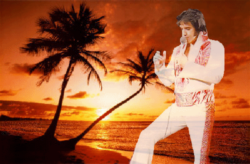 GIF elvis presley - animated GIF on GIFER - by Grolkis