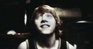 GIF kane - animated GIF on GIFER - by Adorann