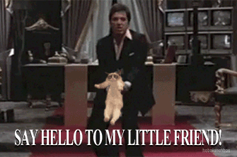Al pacino scarface cat GIF on GIFER - by Nithis