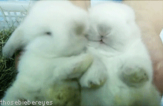 Rubbing snuggling GIF on GIFER - by Mukelv
