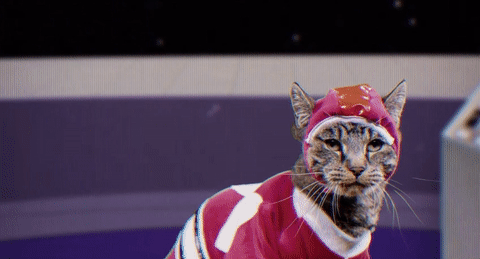 Mmpr cat 90s GIF on GIFER - by Umge