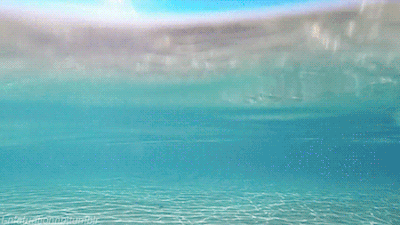Beach day GIF on GIFER - by Galen