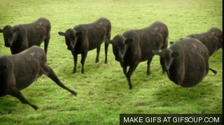 Cyriak night GIF on GIFER - by Goltigrel