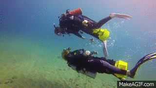 Diving GIF on GIFER - by Brazuru