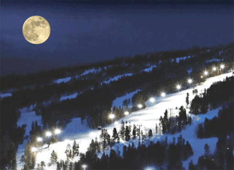Skiing GIF on GIFER - by Mightsinger