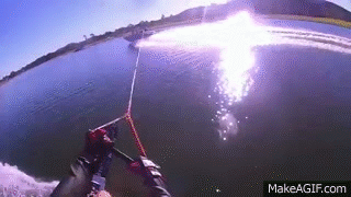 Гифка neonmob олень волшебство гиф картинка, скачать анимированный gif ...