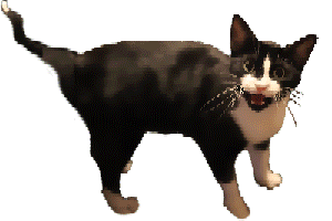 Geocities transparent cat GIF on GIFER - by Rexraven