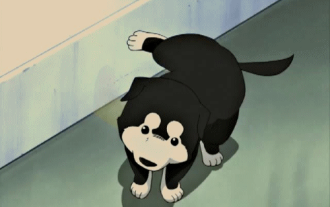 Fullmetal alchemist anime black hayate GIF on GIFER - by Nazel