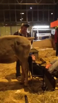 7. GP DE MONACO 2023