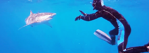 Sinking In Quicksand Gif Animation "Going Down" GIF By Ohikko - Fur
